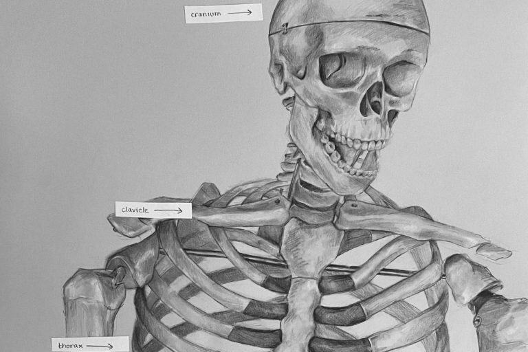 My Body is Not a Labubu – Dear Digital Diary